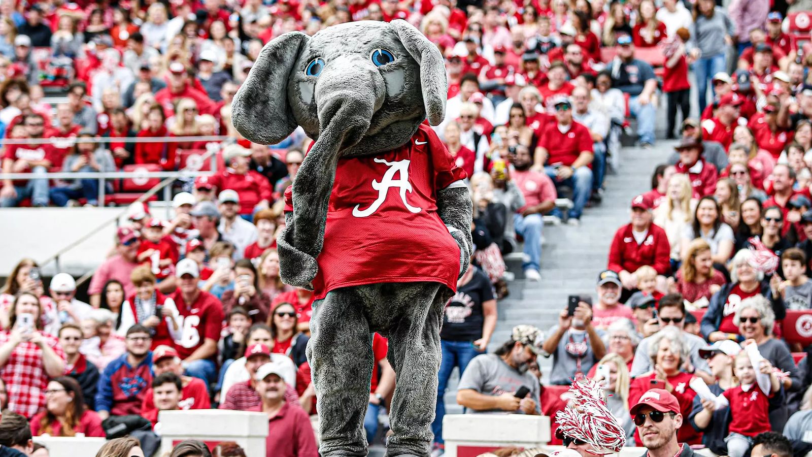 Alabama's elephant in the room, a Kansas-Missouri history lesson ...